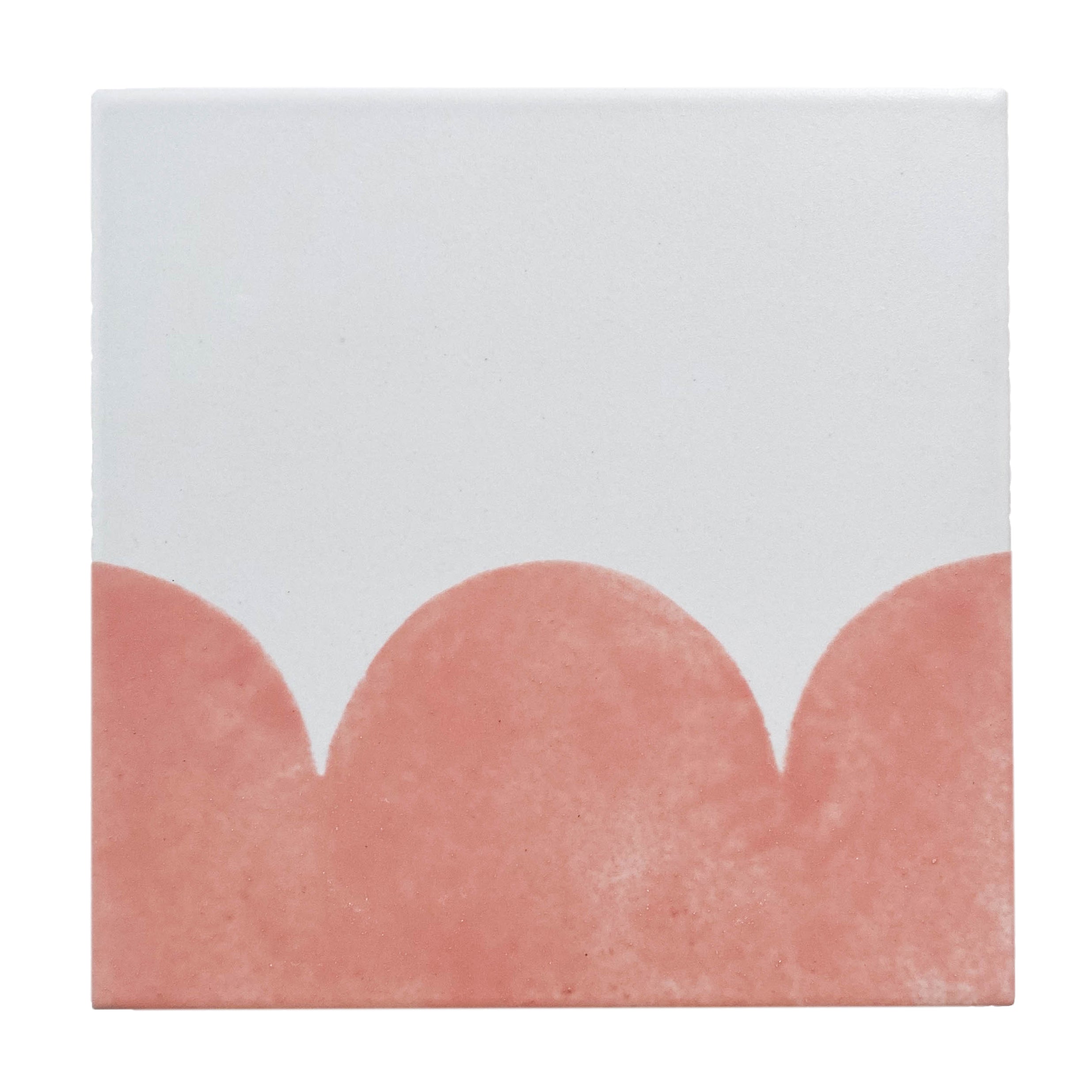 Calico Scallop Peach – Decorum Studio Cornwall