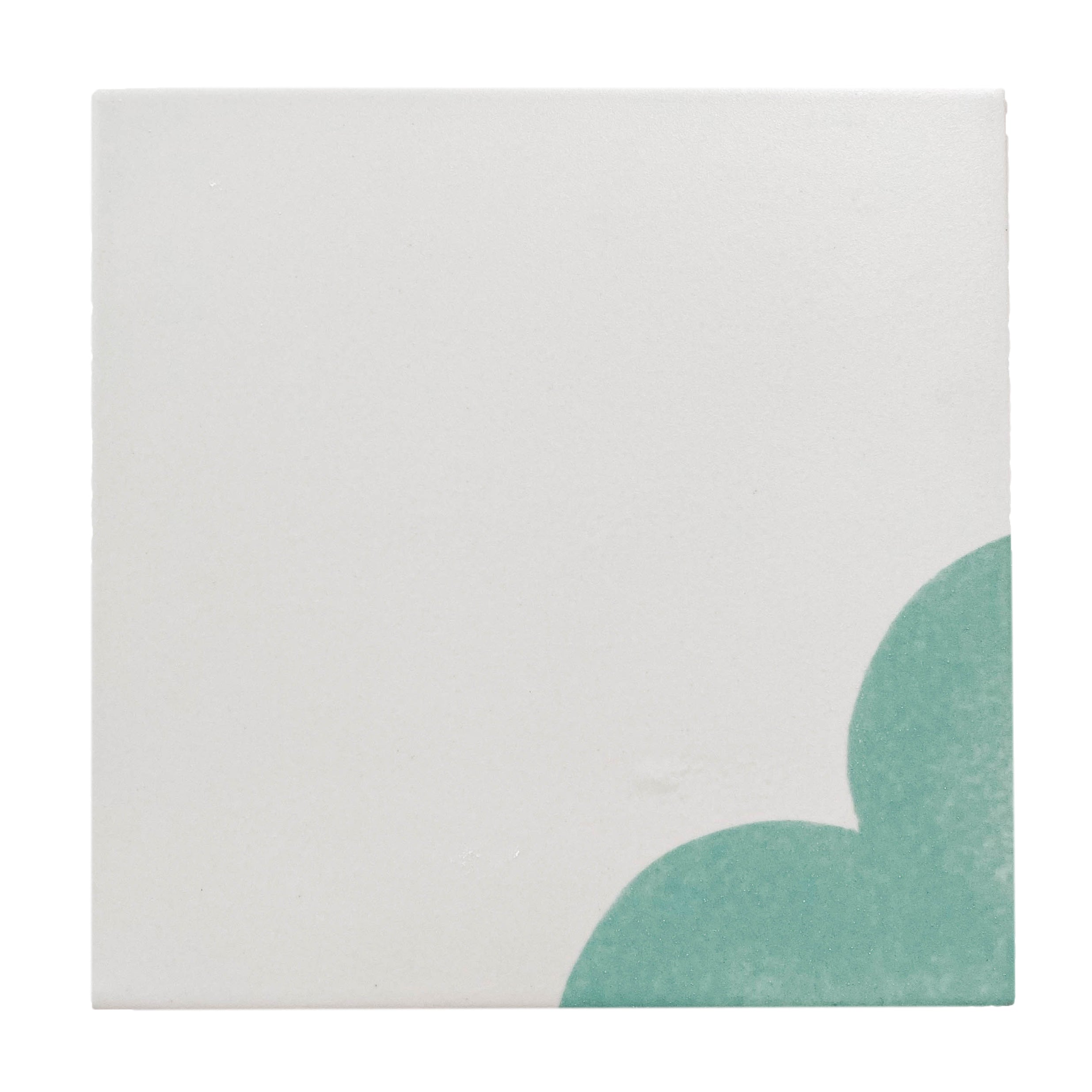 Calico Scallop Corner Fern – Decorum Studio Cornwall