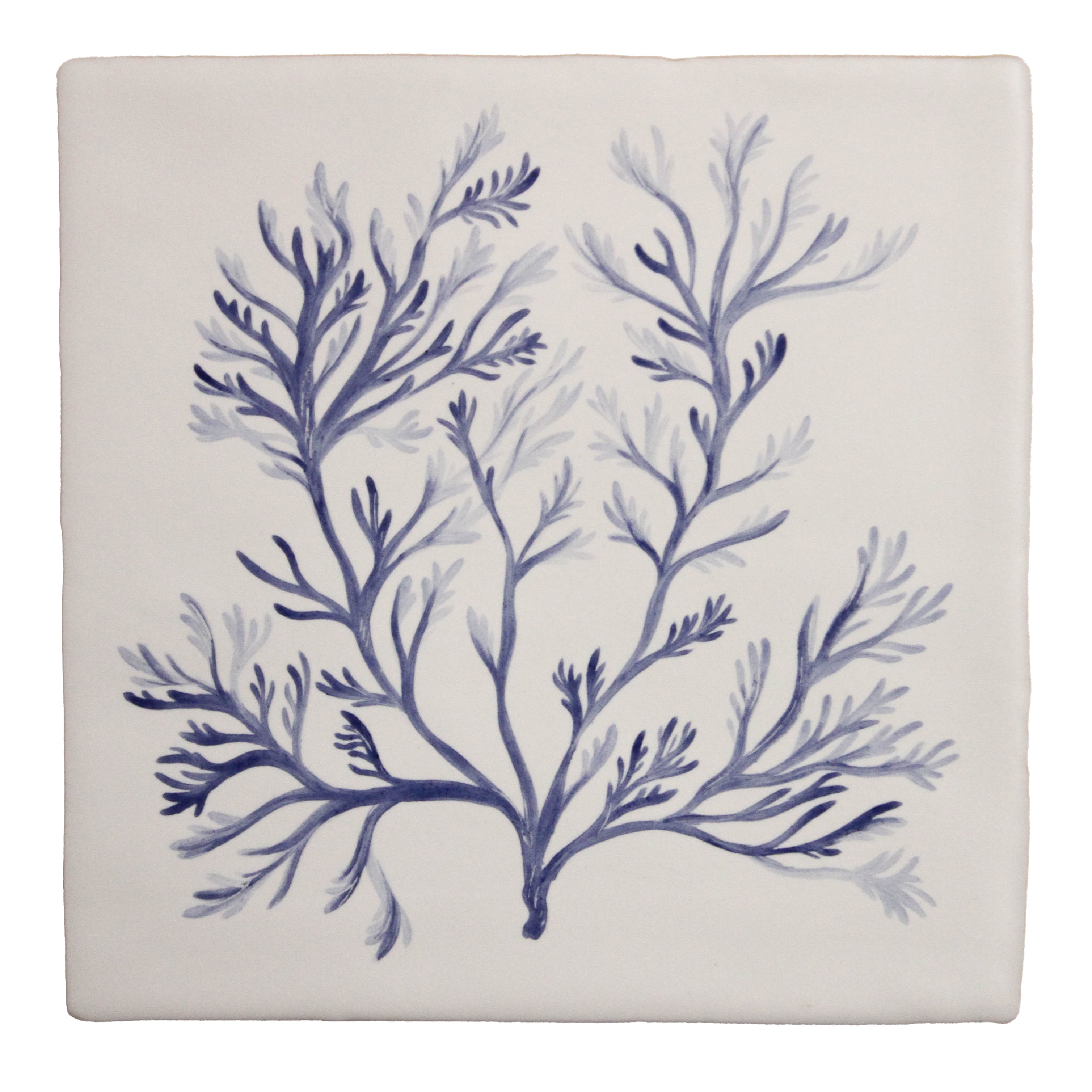 Soft Feather Seaweed Blue – Decorum Studio Cornwall